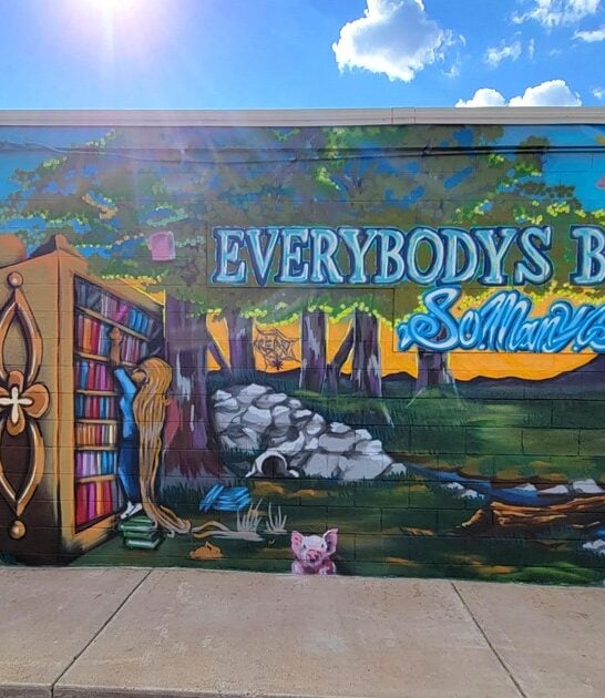 massive used bookshop rapid city sd ftr