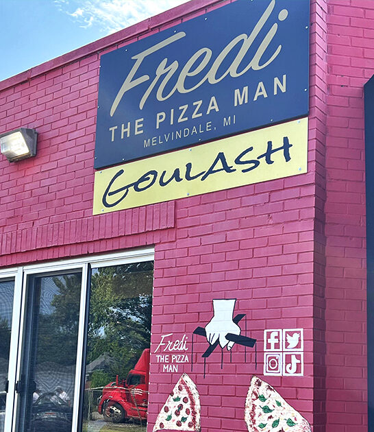 michigan best pizza restaurants ftr