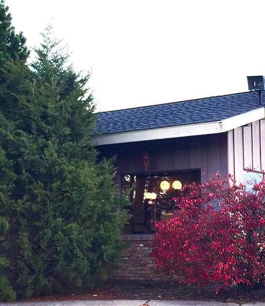 minnesota omelet restaurant ftr