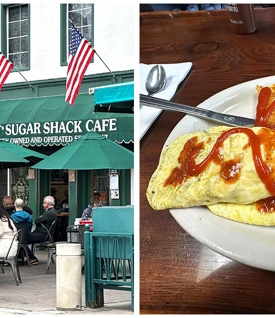 mouth watering omelets california ftr