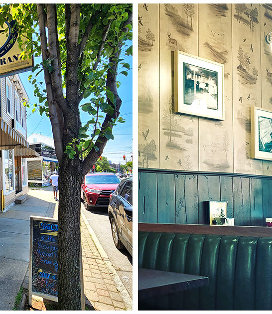 mouth watering omelets ohio FTR