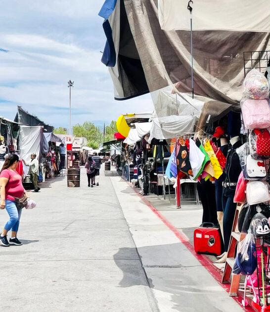 nevada massive flea market ftr