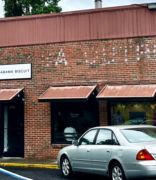 no frills alabama biscuits ftr