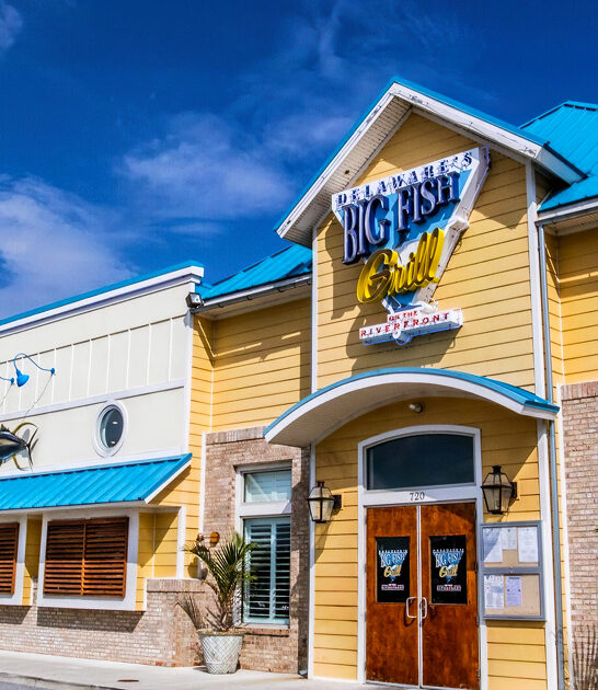 no frills restaurant seafood wilmington de ftr