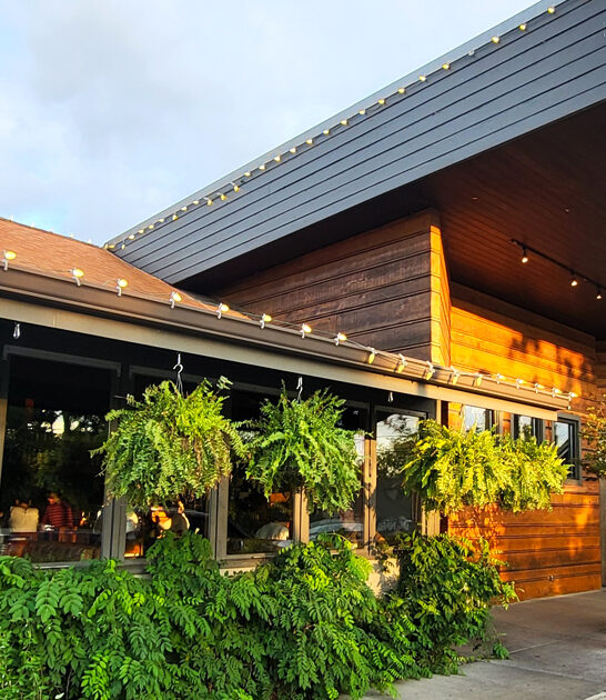 no fuss seafood tennessee ftr