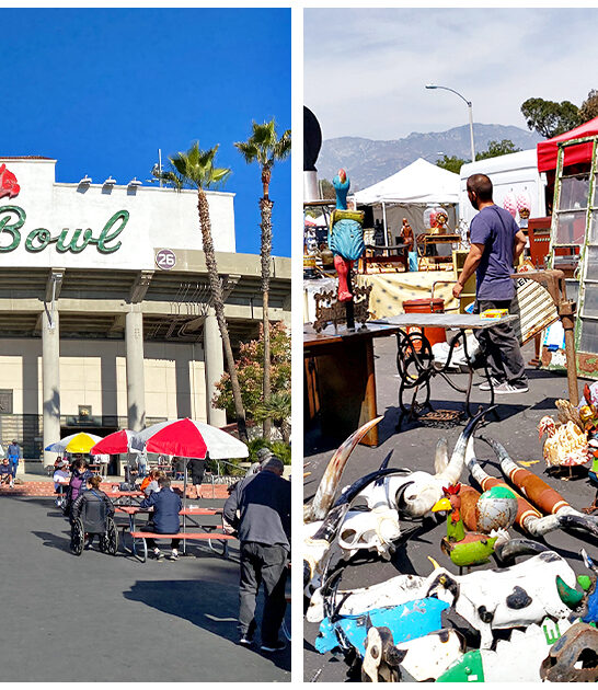 pasadena rare treasures market ca ftr