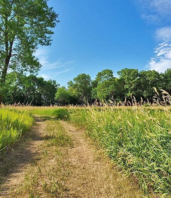picturesque state park ortonville mn ftr