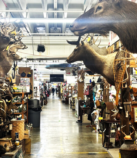 rare treasures virginia market ftr