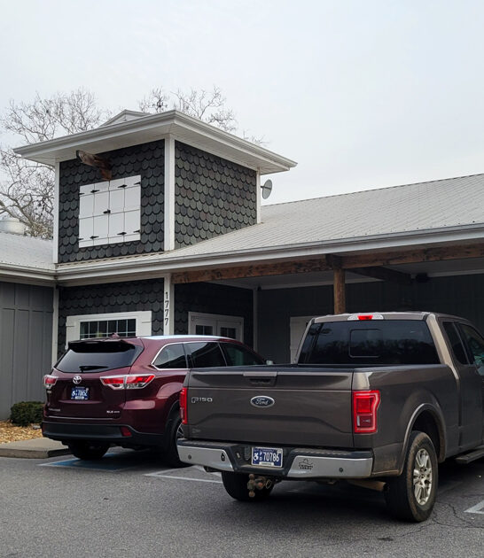 restaurant good seafood tennessee ftr