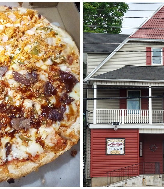 restaurant pennsylvania best pizza ftr