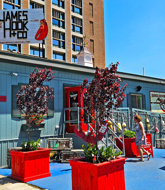 restaurants dreams lobster boston ma ftr