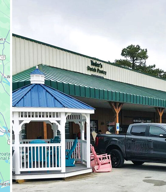 rolls north carolina cinnamon ftr