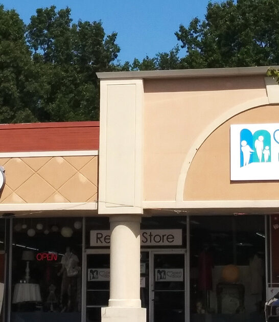 secondhand shop michigan ftr