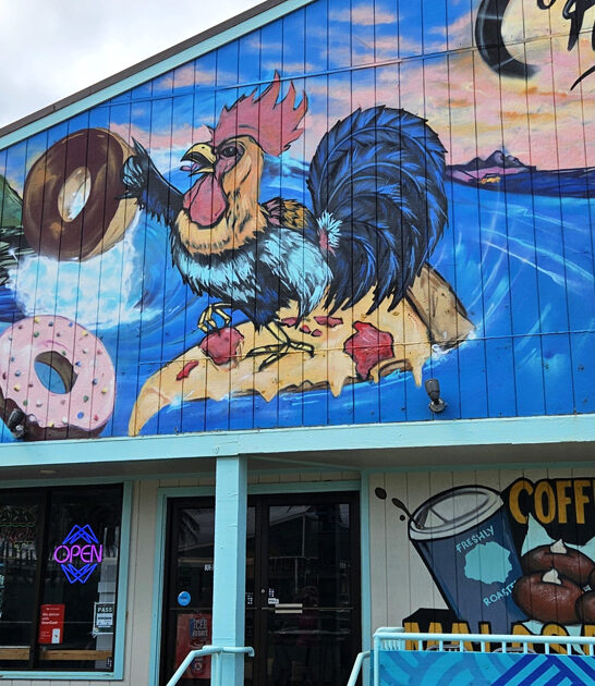 small donut shop hawaii FTR