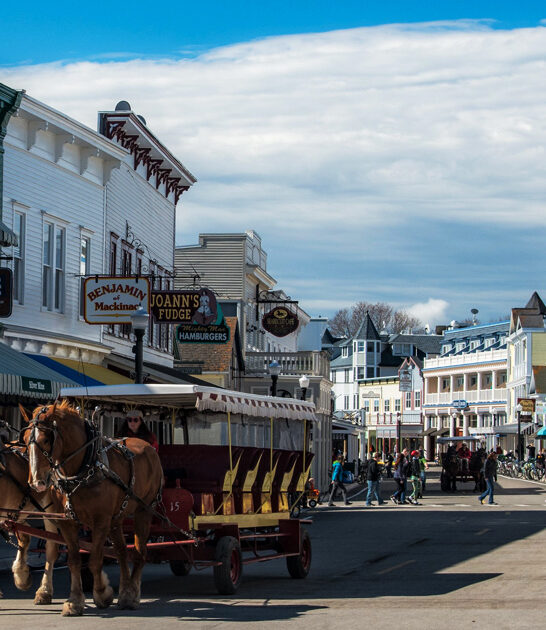 small michigan town ftr