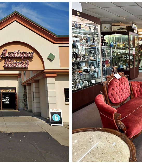 store antique massive idaho FTR