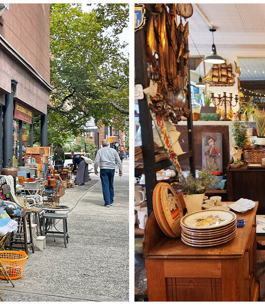 store new york antique ftr