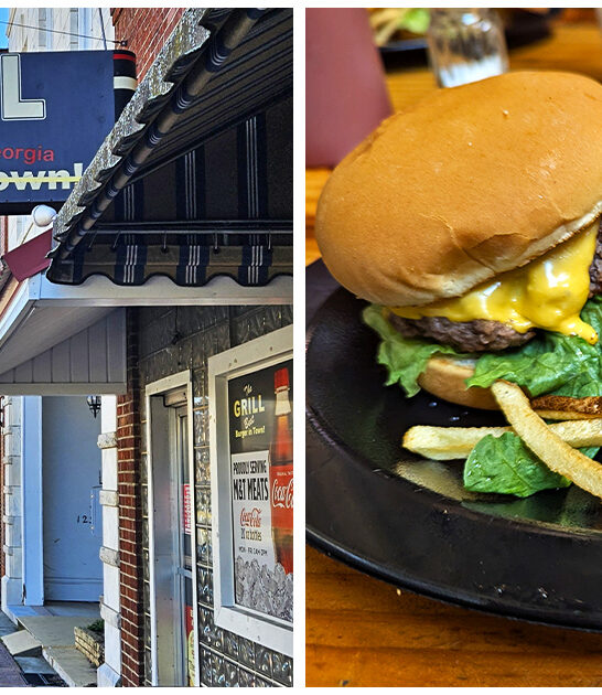 superb burger restaurant hawkinsville ga ftr