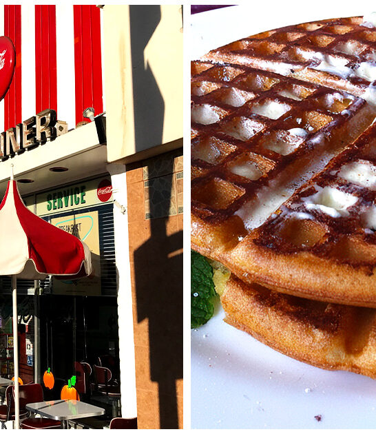 tiny diner california waffles FTR