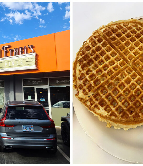 tiny-diner-nevada-waffles-FTR