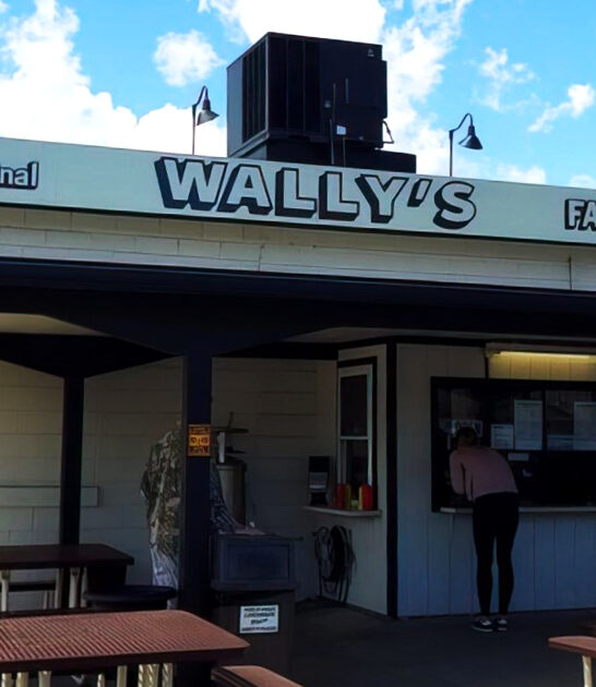 tiny restaurant illinois burgers ftr