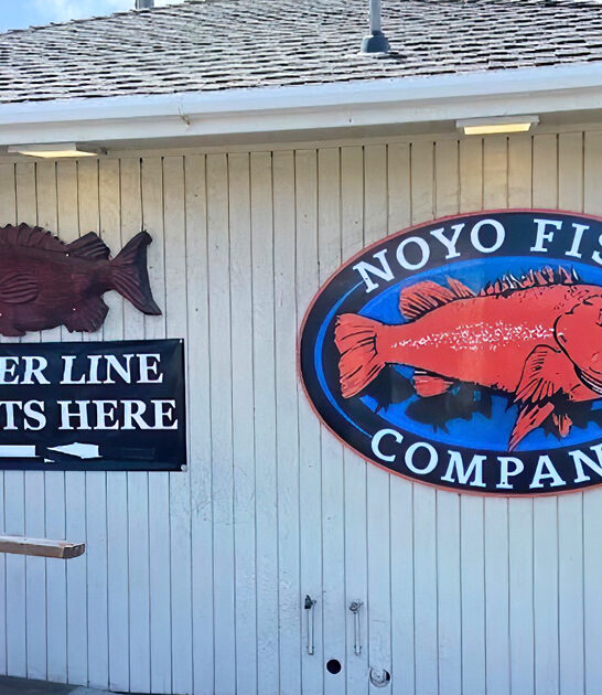 tiny seafood shack fort bragg ca ftr