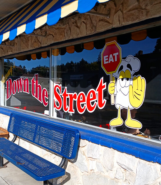 tiny waffles diner idaho ftr