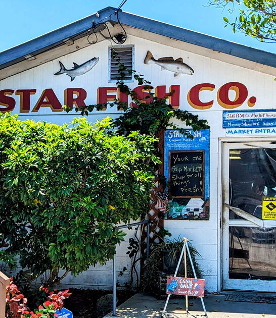 unassuming restaurants florida delicious ftr