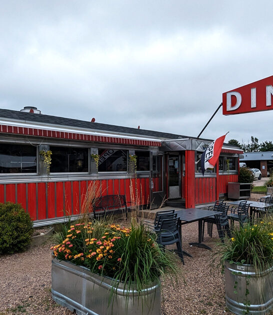 vermont diner waffle ftr