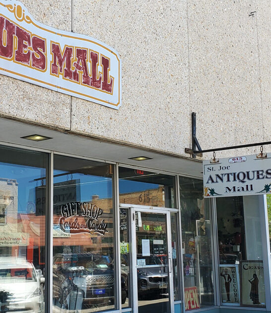 vintage shop south dakota ftr