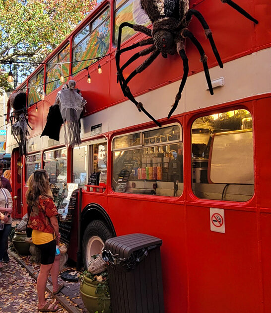 wacky restaurant asheville nc ftr