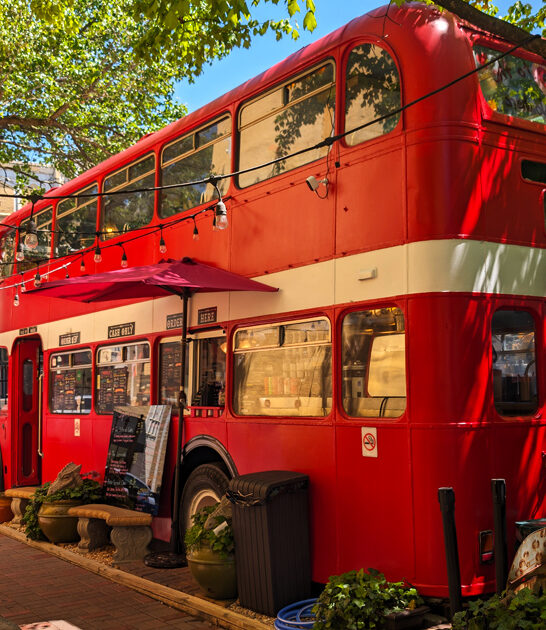 weird restaurant asheville nc ftr