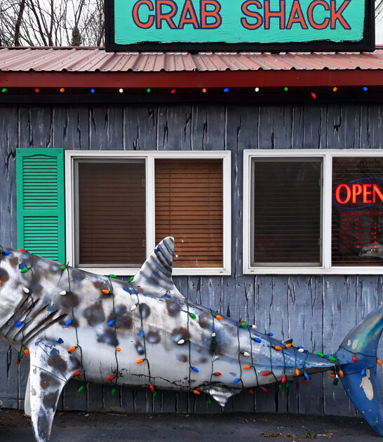 west virginia best seafood ftr