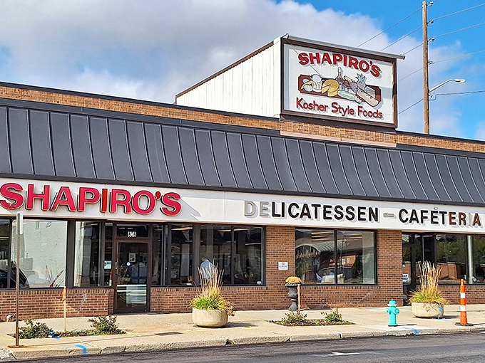 The iconic red Shapiro's sign beckons like a lighthouse for the sandwich-starved. This brick-faced beacon has guided hungry Hoosiers to deli nirvana for generations.