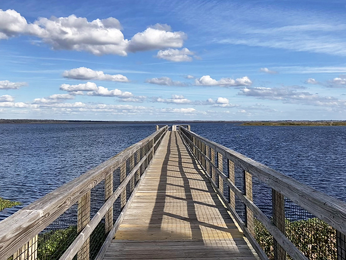 The boardwalk beckons like a wooden runway into Florida's wild heart, inviting you to leave civilization behind and discover what lies beyond.