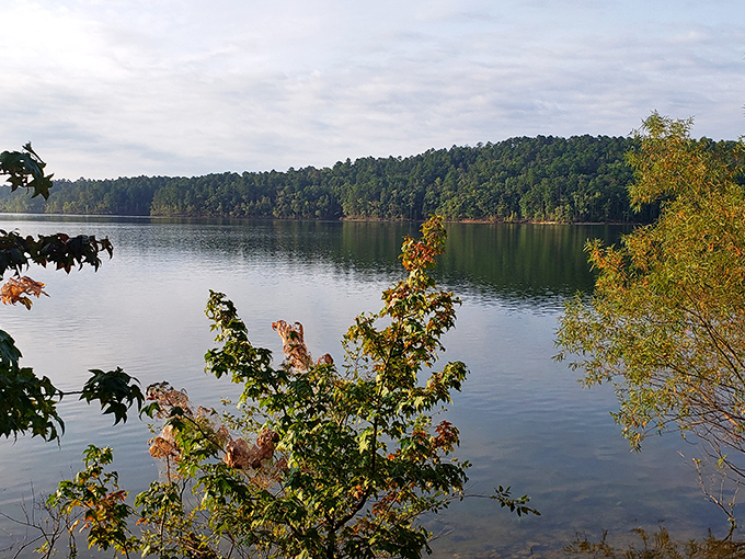 Lake Greeson's crystal waters beckon like nature's own infinity pool. Who needs a resort when Arkansas offers this waterfront serenity?