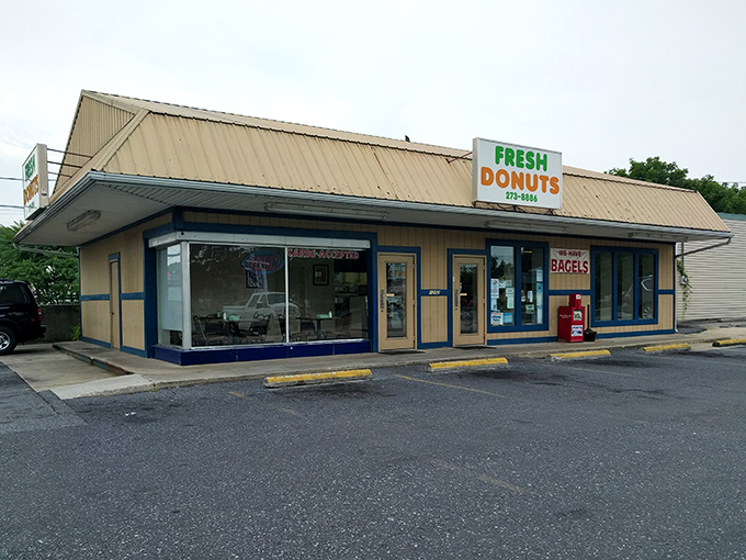 The unassuming beige exterior of Fresh Donuts in Lebanon might not stop traffic, but locals know this humble building houses sweet treasure.