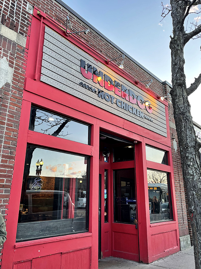 The bold red storefront of Underdog Hot Chicken stands out like a beacon for spice-seekers. Boston's hottest chicken joint announces itself without apology.