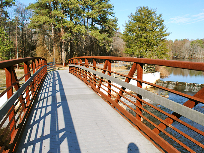 Nature's boardwalk invites you into a verdant wonderland where cypress trees stand like ancient guardians watching over their watery domain.