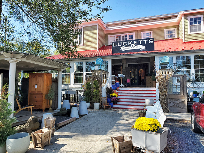 The iconic green clapboard and red metal roof of Lucketts Store welcomes treasure hunters with vintage finds already spilling onto the porch.