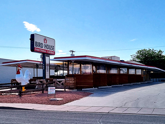 The giant rooster stands sentinel outside BirdHouse like a proud bouncer guarding the gates to crispy chicken paradise.