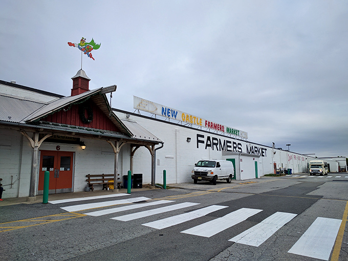 The unassuming exterior of New Castle Farmers Market belies the treasure trove within. Like finding a secret portal to bargain heaven in a suburban parking lot.