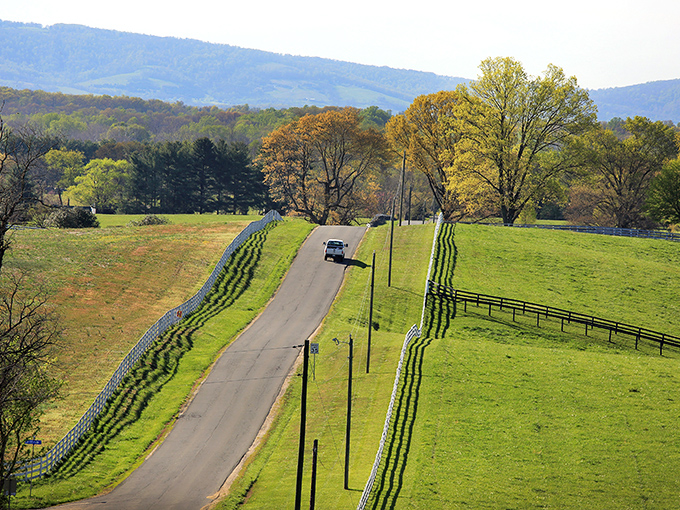 A beautiful sight where agriculture and tourism coexist in harmonious rural ballet.