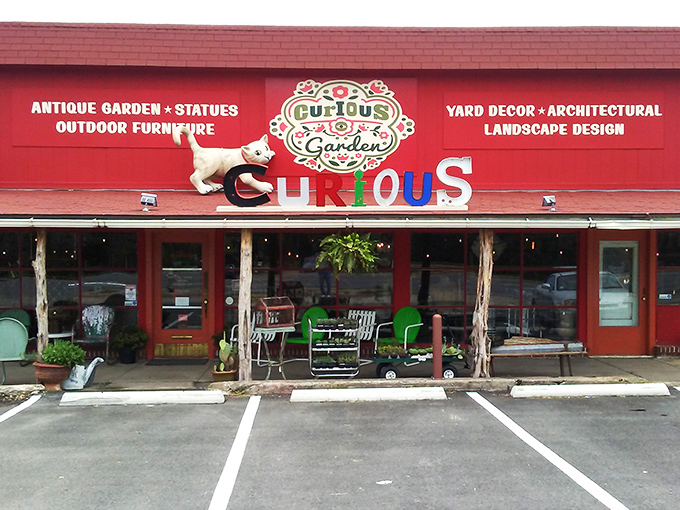 The vibrant red exterior of Curiosities stands out like a beacon of eccentricity, promising treasures that would make any collector's heart skip a beat.