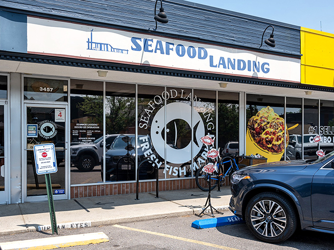 The unassuming storefront belies the oceanic treasures within. Like finding Atlantis next to a dry cleaner in suburban Denver.