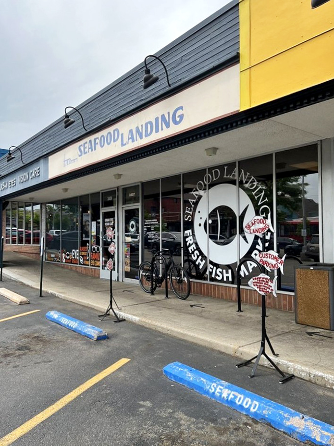 The unassuming storefront belies the oceanic treasures within. Like finding Atlantis next to a dry cleaner in suburban Denver.