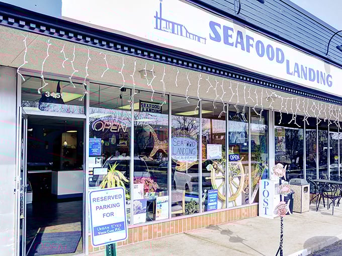 The unassuming storefront belies the oceanic treasures within. Like finding Atlantis next to a dry cleaner in suburban Denver.
