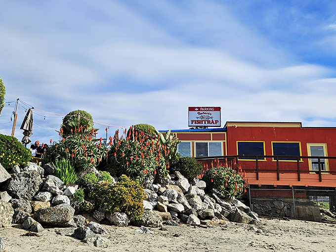 The little red seafood shack that could! Barbara's Fishtrap stands proudly against the Half Moon Bay skyline, promising maritime delights within its humble walls.