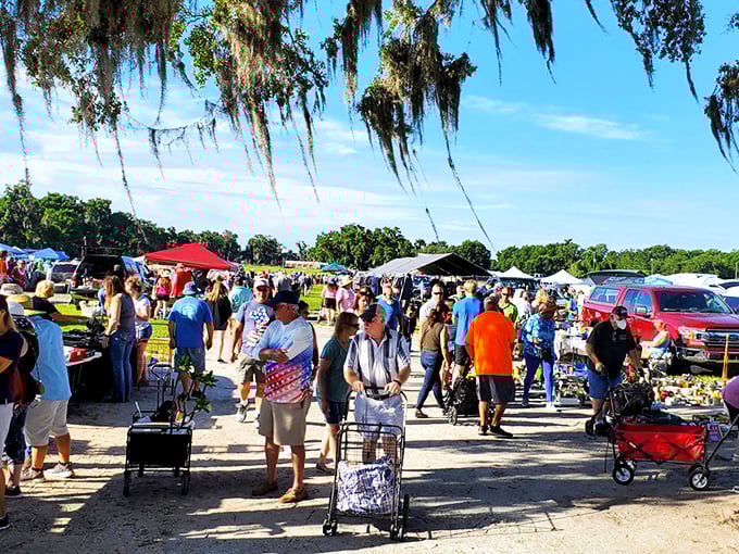 Treasure hunting begins at dawn, where vintage artwork leans against vans and pickup trucks become impromptu galleries. Florida's sunshine provides perfect lighting for spotting that must-have gem.