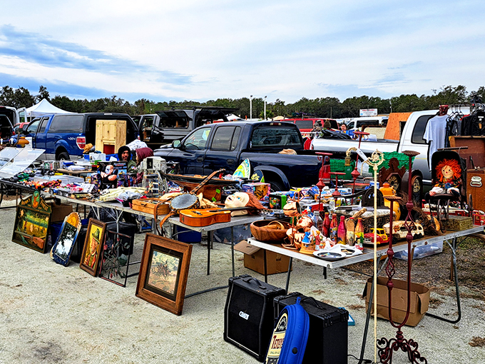 Treasure hunting begins at dawn, where vintage artwork leans against vans and pickup trucks become impromptu galleries. Florida's sunshine provides perfect lighting for spotting that must-have gem.